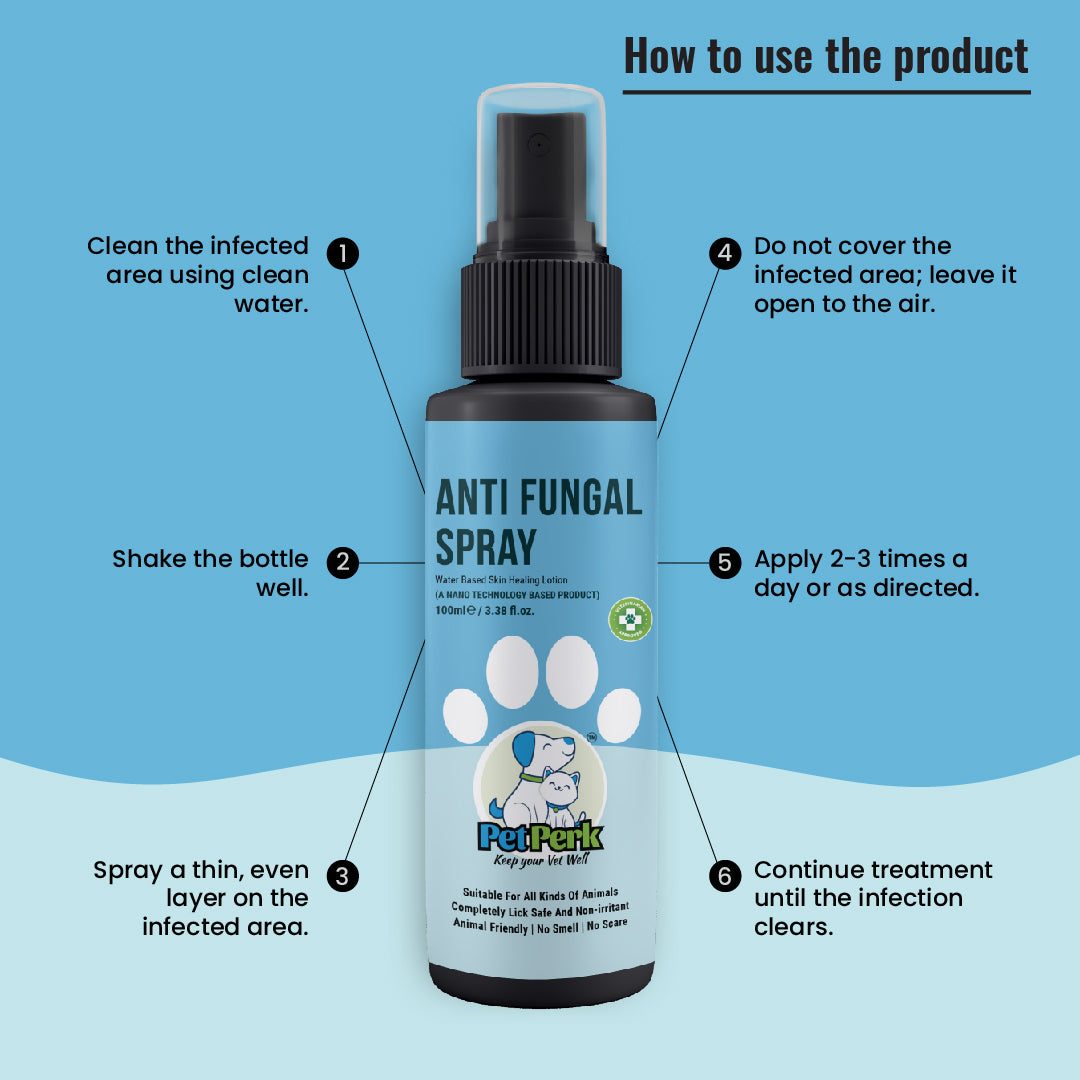Anti-Fungal Spray for Dog (100 ml / Piece) – Pet Perk