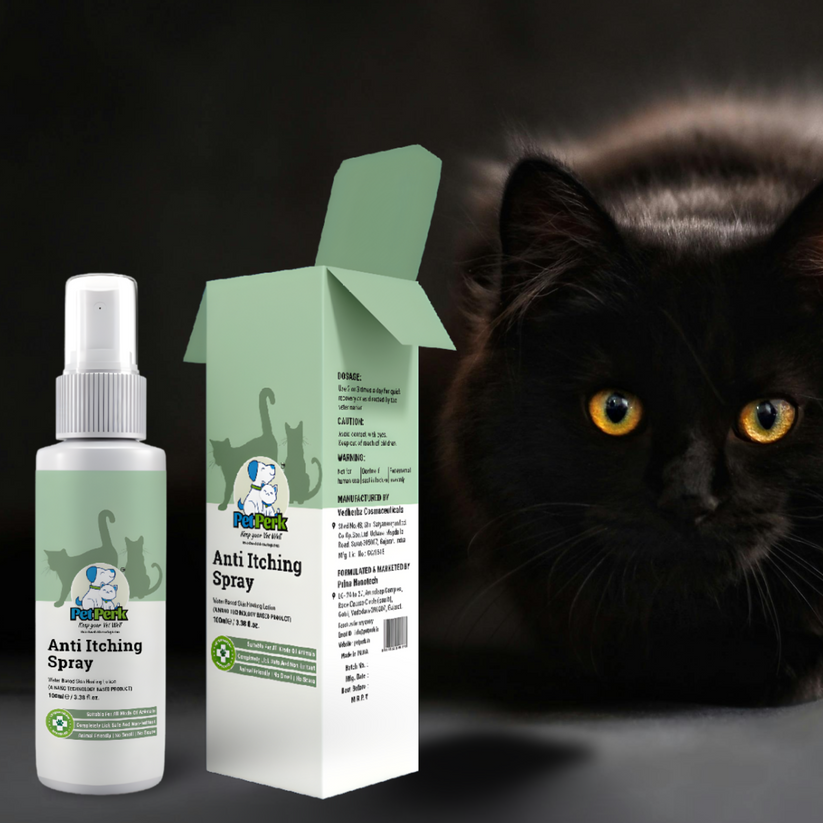 Anti-Itching Spray for Cat – Pet Perk