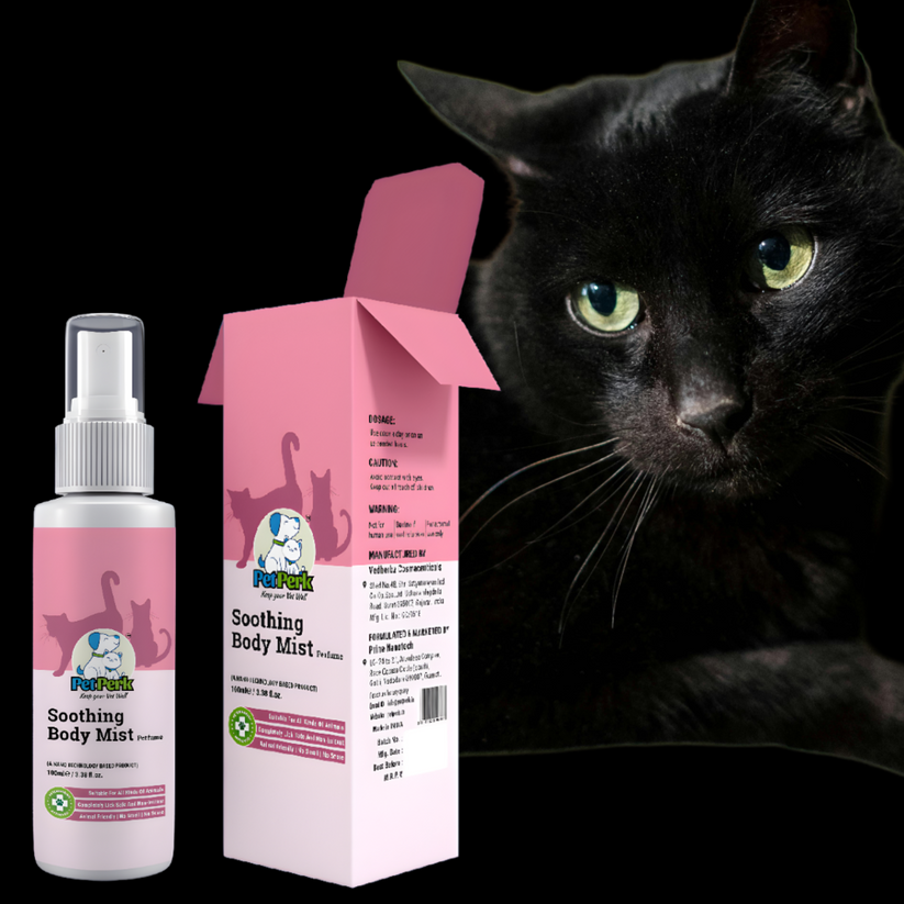 Daily Care Kit For Cats – Pet Perk