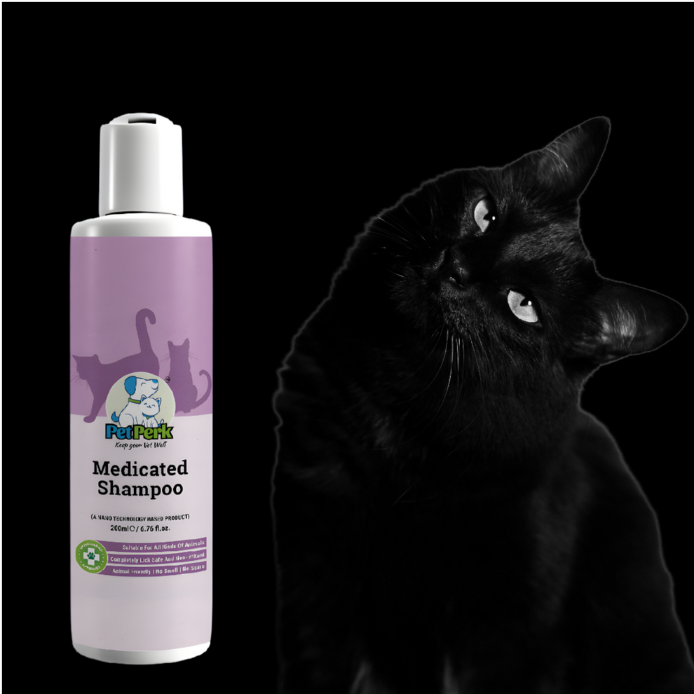 Medicated Antifungal Shampoo for Cat (200 ml / Piece) – Pet Perk