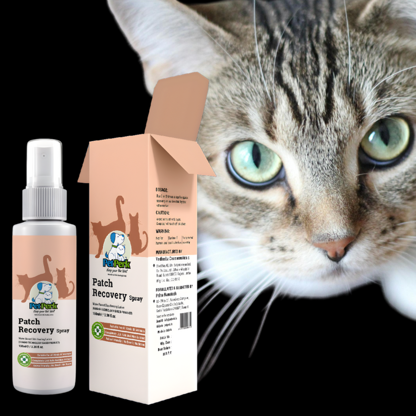 Patch Recovery Spray for Cat (100 ml / Piece) – Pet Perk
