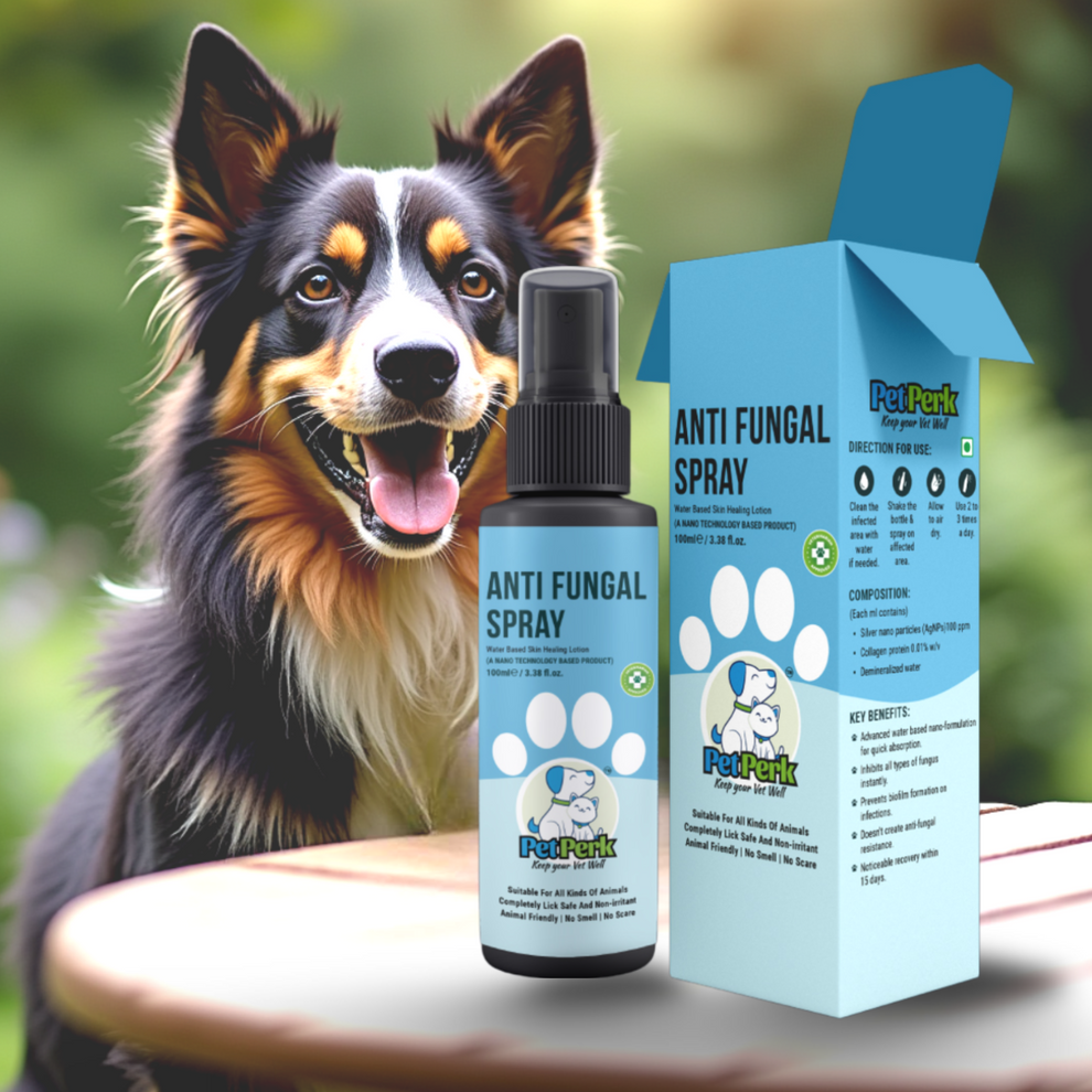 Anti-Fungal Spray for Dog – Pet Perk